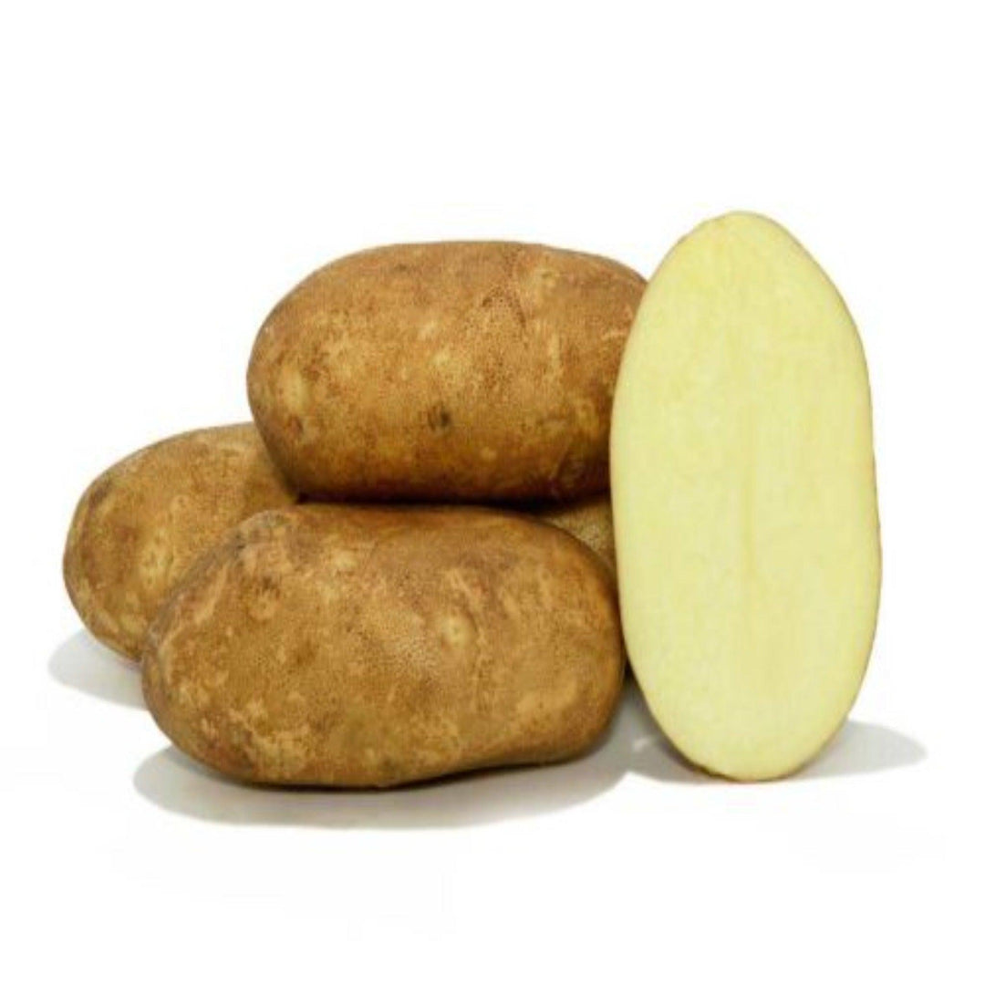 Goldrush Russet Potato Seed - Ontario, Heirloom Seed Potatoes – Garden ...
