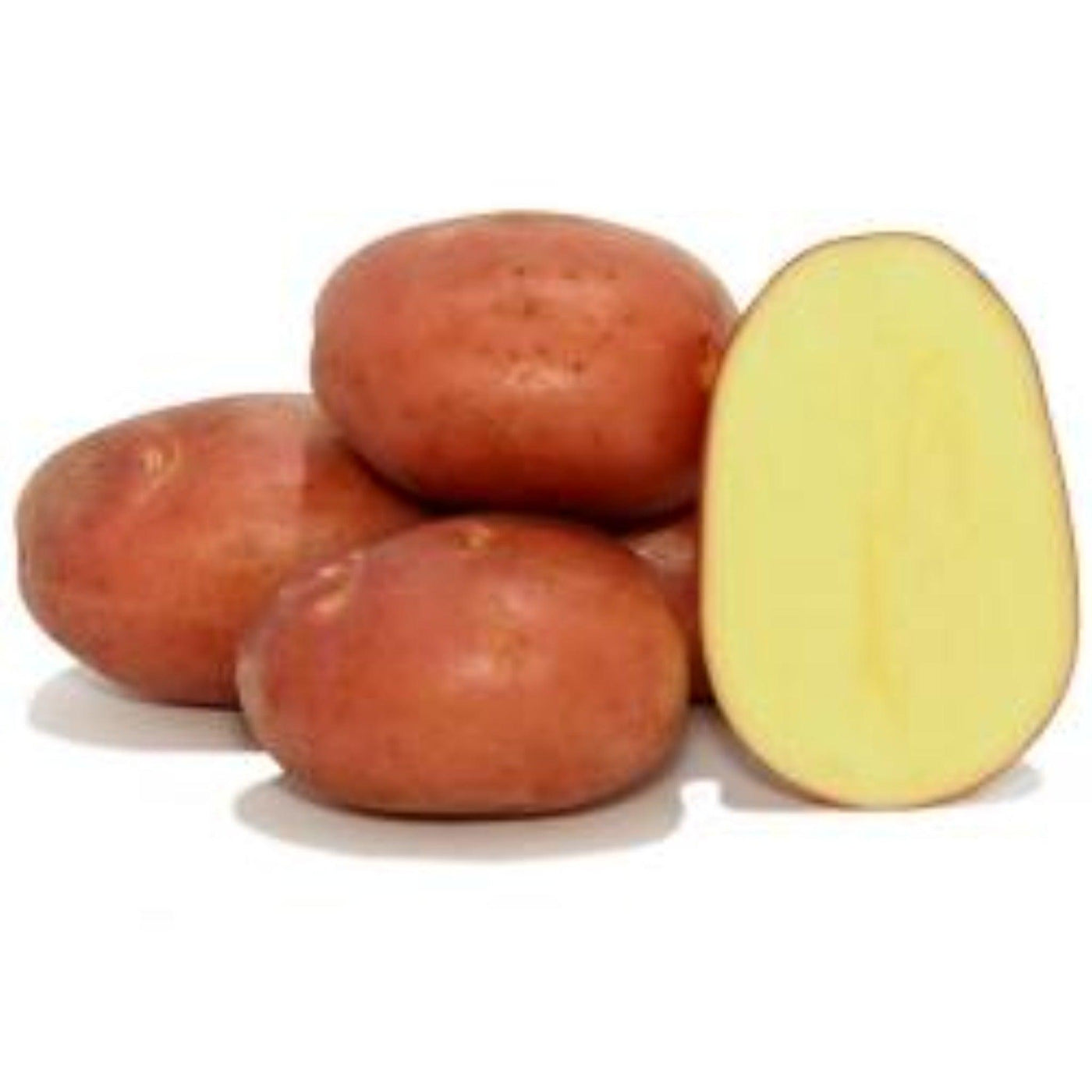 Mozart Potato Seed - Ontario, Heirloom Seed Potatoes